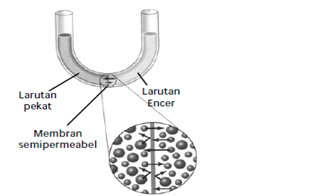 Prinsip Kerja RO ( Reverse Osmosis) | Harga Membran RO | Jual Membran ...
