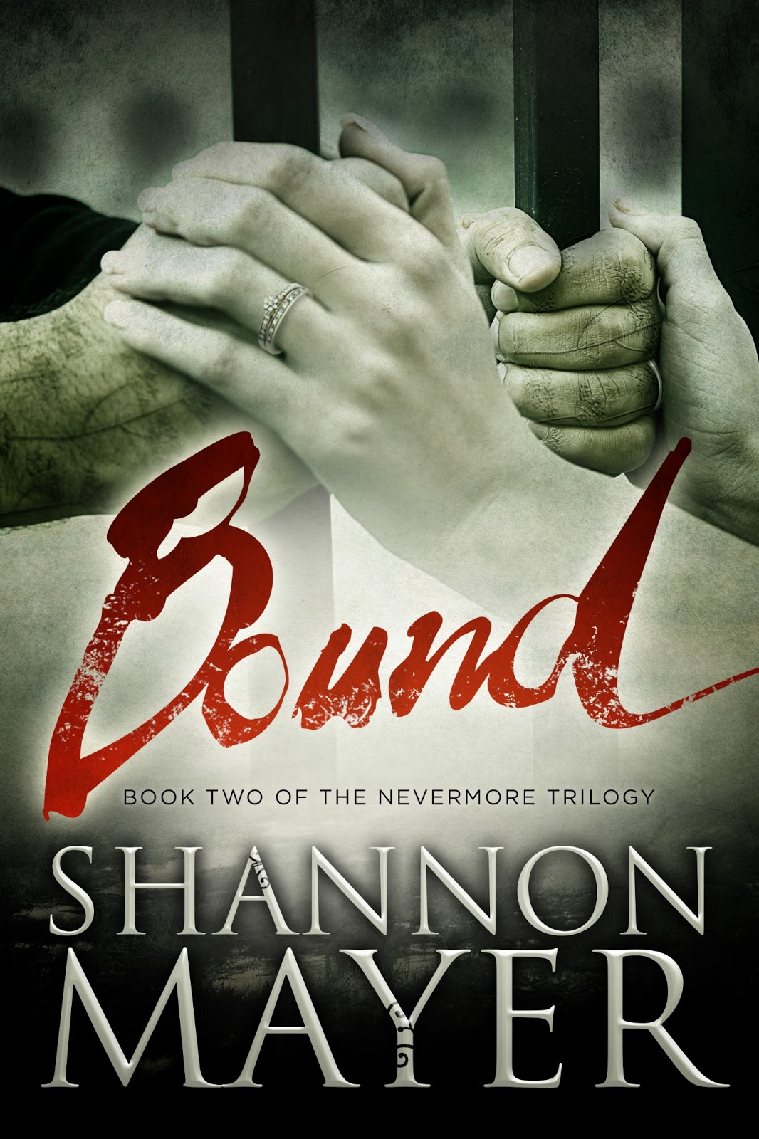 Nevermore Trilogy BOOK BLITZ!!!! | Buried Under Books