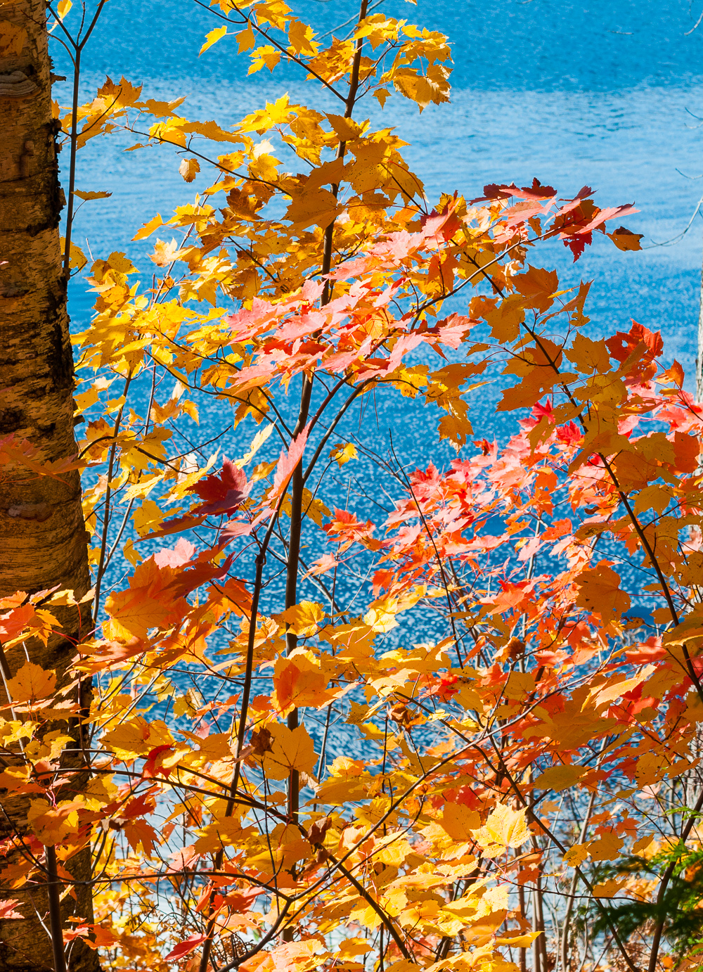 Steve Q Photo: Michigan Fall Color 2010 Day 3 & Day 4 Munising ...