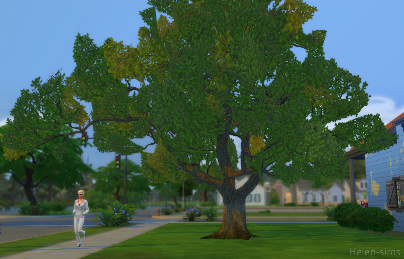 Helen-sims: TS4 Tree Oak