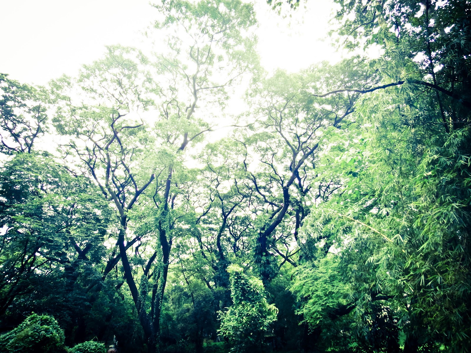 Tita Arlet: Kalumpit: Don't pop that cherry