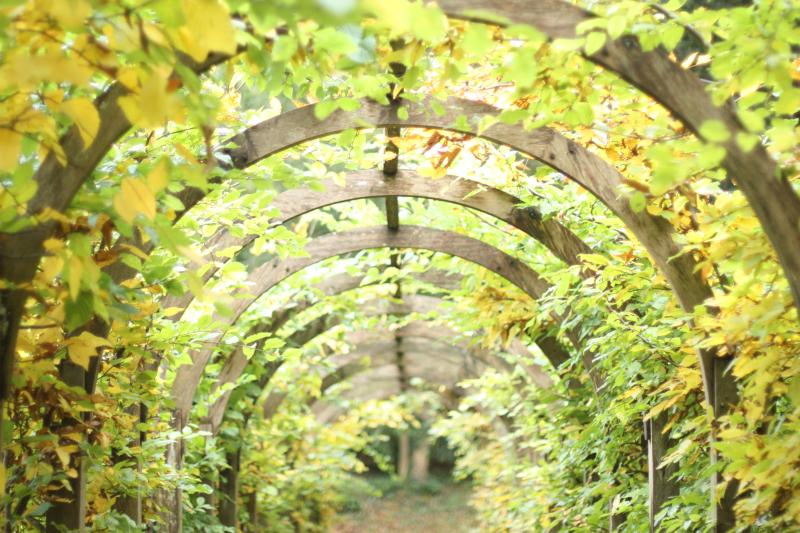 GREY LEMON: Painswick Rococo Garden