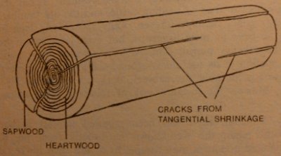 Our Rhodesian Heritage: Year of The Tree