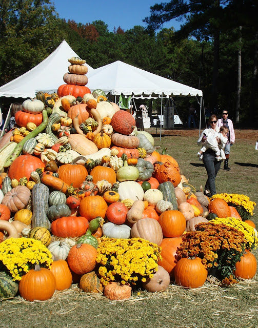 ~ The Feathered Nest ~: The Country Living Fair in Atlanta!!!