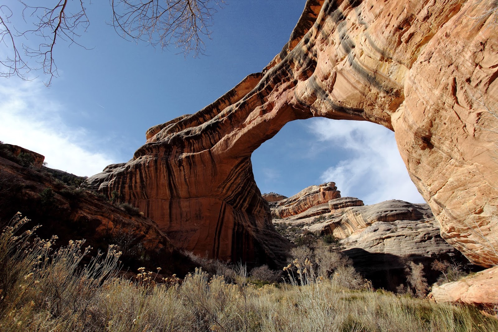 NATURAL BRIDGES NATIONAL MONUMENT - ADAM HAYDOCK