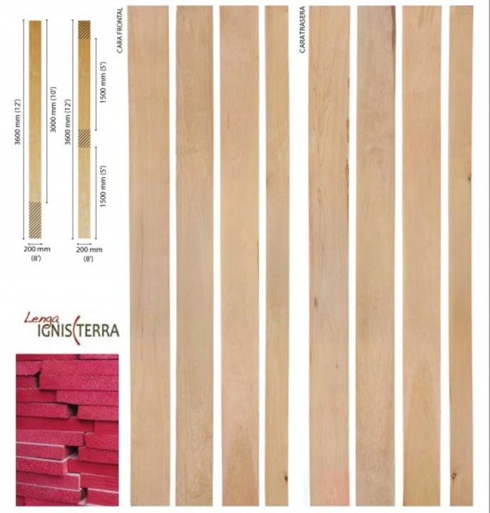 Marzua: Madera de Lenga