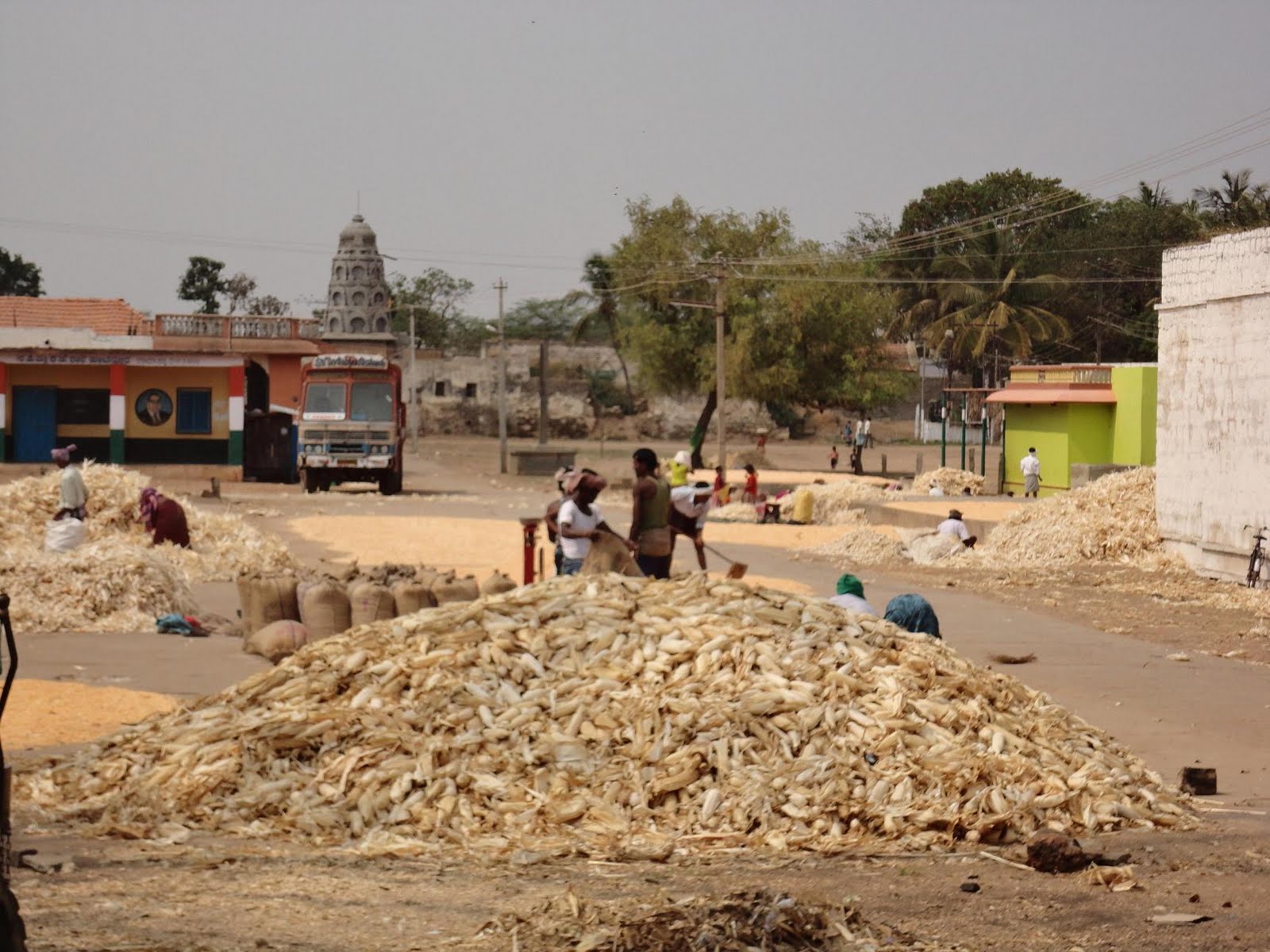 Rural Exploration at Haveri: Rural Camp-Haveri