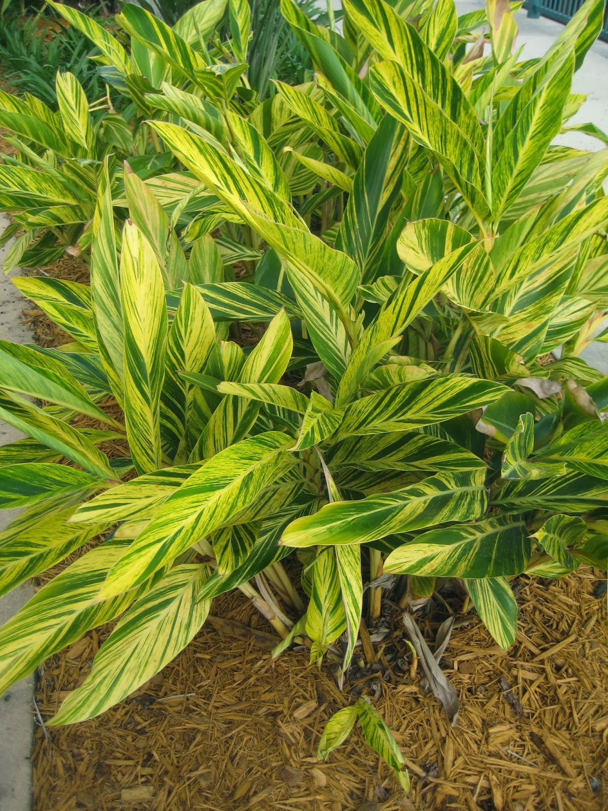 Walk In The Park: February 2014