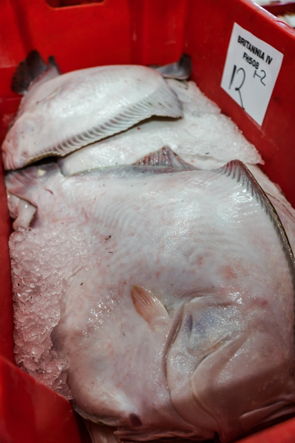 Through the Gaps! - Newlyn Fishing News: Busy Tuesday fish market in ...