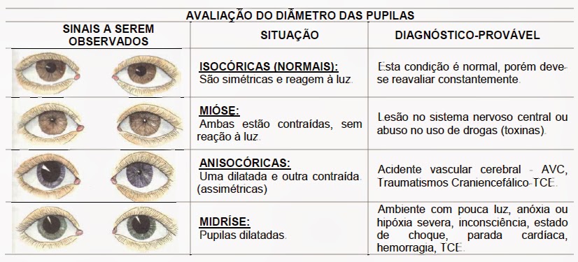 Bombeiroswaldo: Avaliação do Diâmetro das Pupilas dos Olhos ...