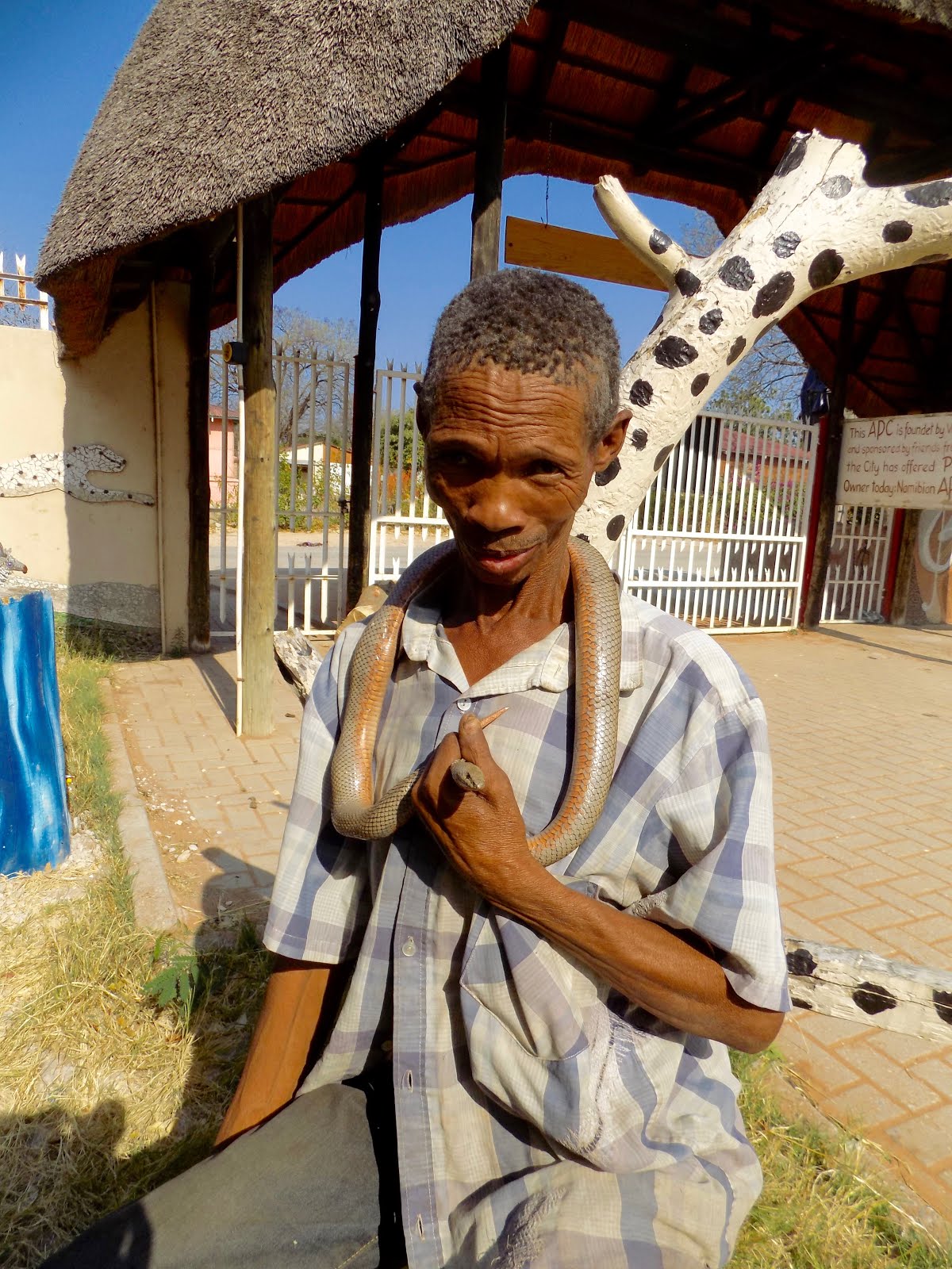 Tagebuch von Lis Hidber: Der erste Mensch unserer Erde