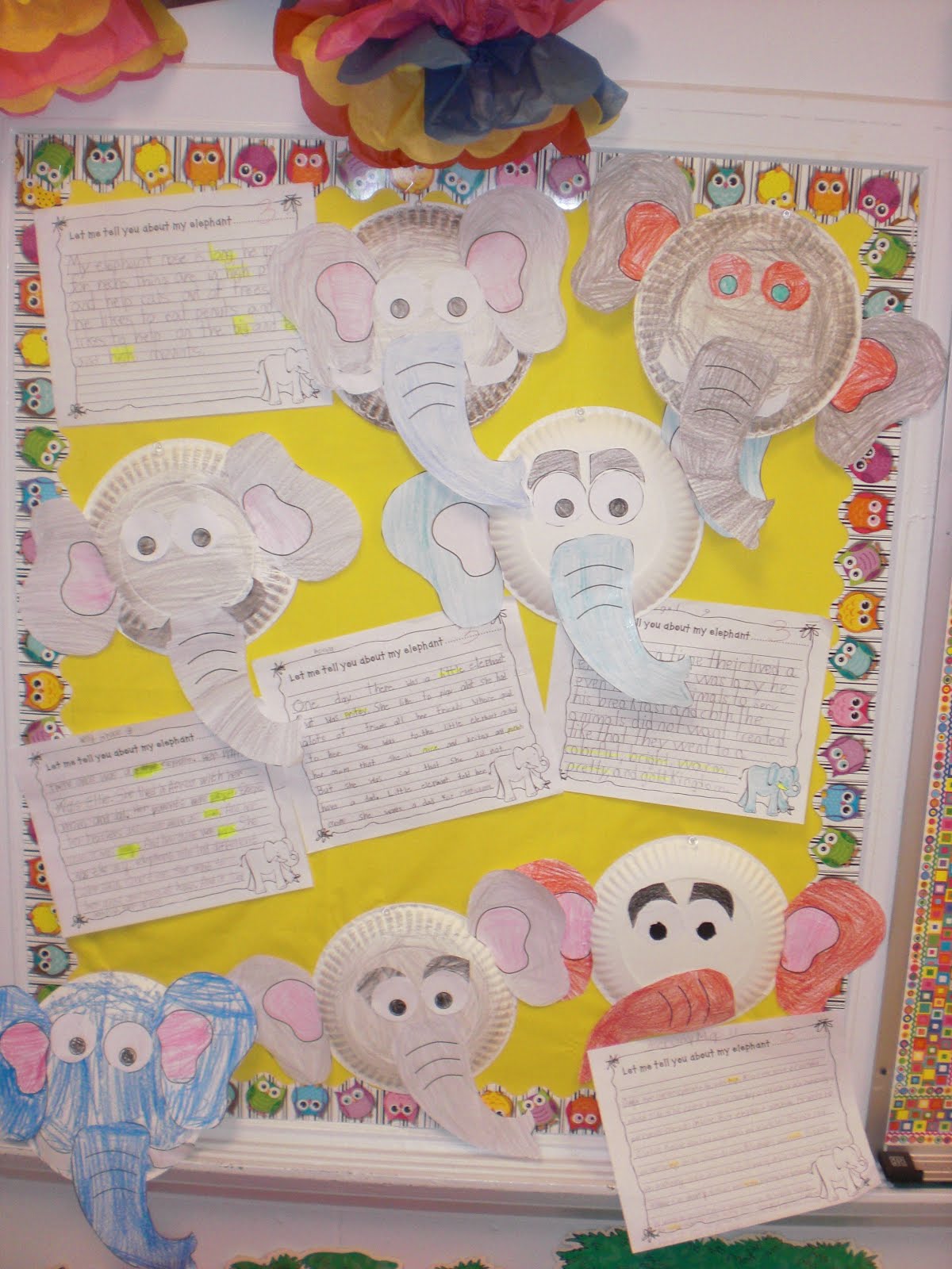 Second Grade Perks: Safari Adventure