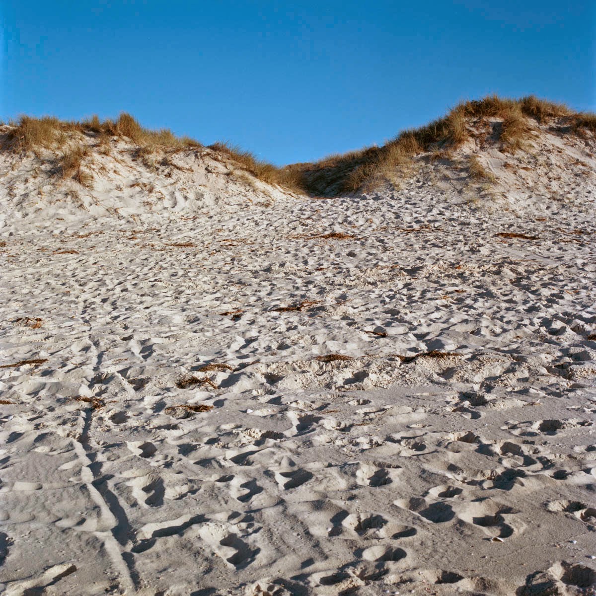 nothing better to do: The Sandy