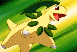 Attack Dex / Move Dex - Bayleef