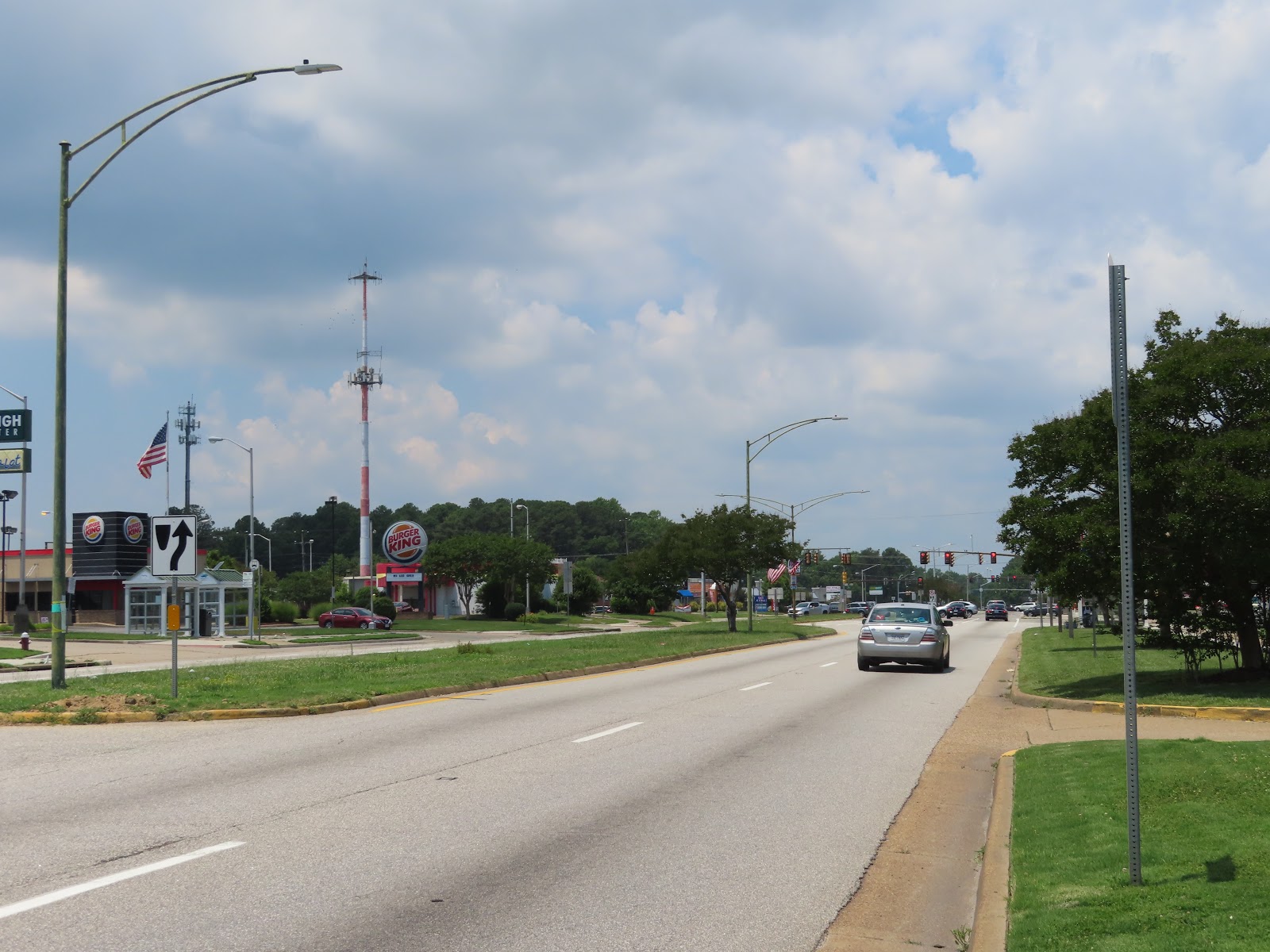 Luke's Signs: Warwick Boulevard & Denbigh Blvd. - Newport News, VA