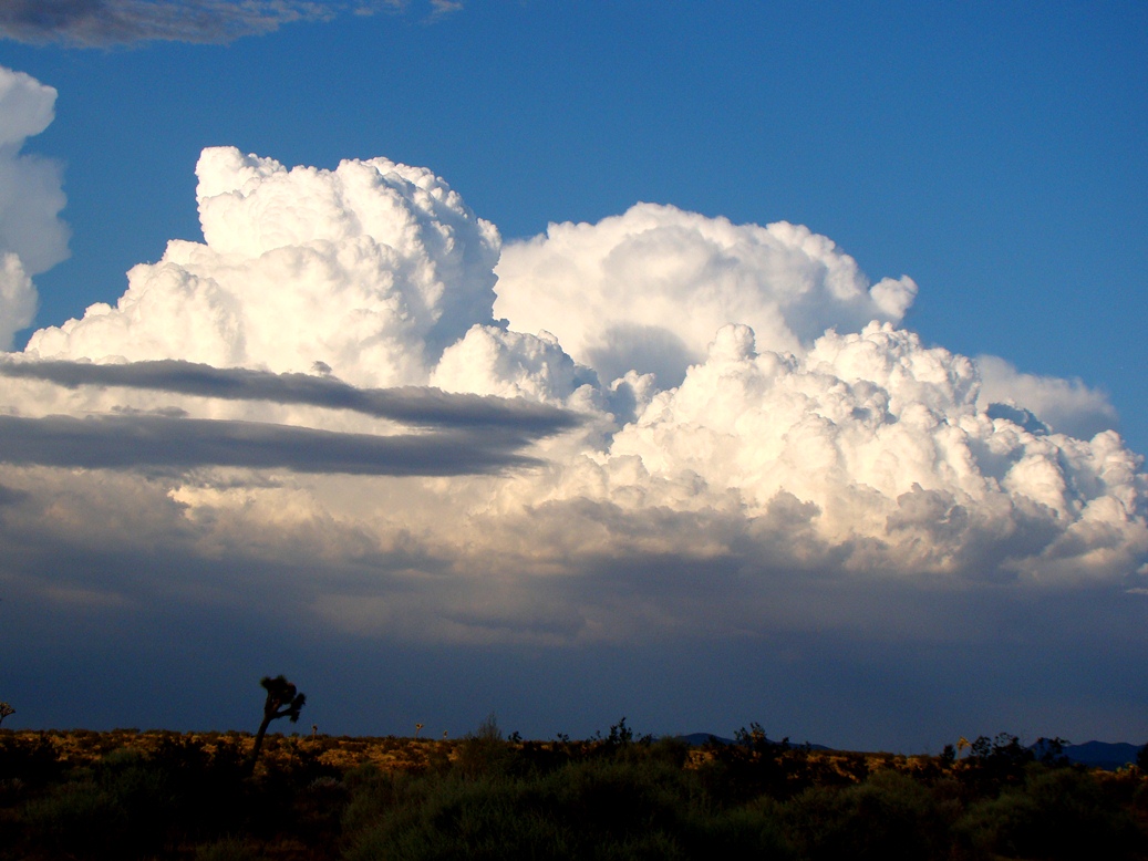 Geotripper: A Storm in the Desert: Every Day is a Gift