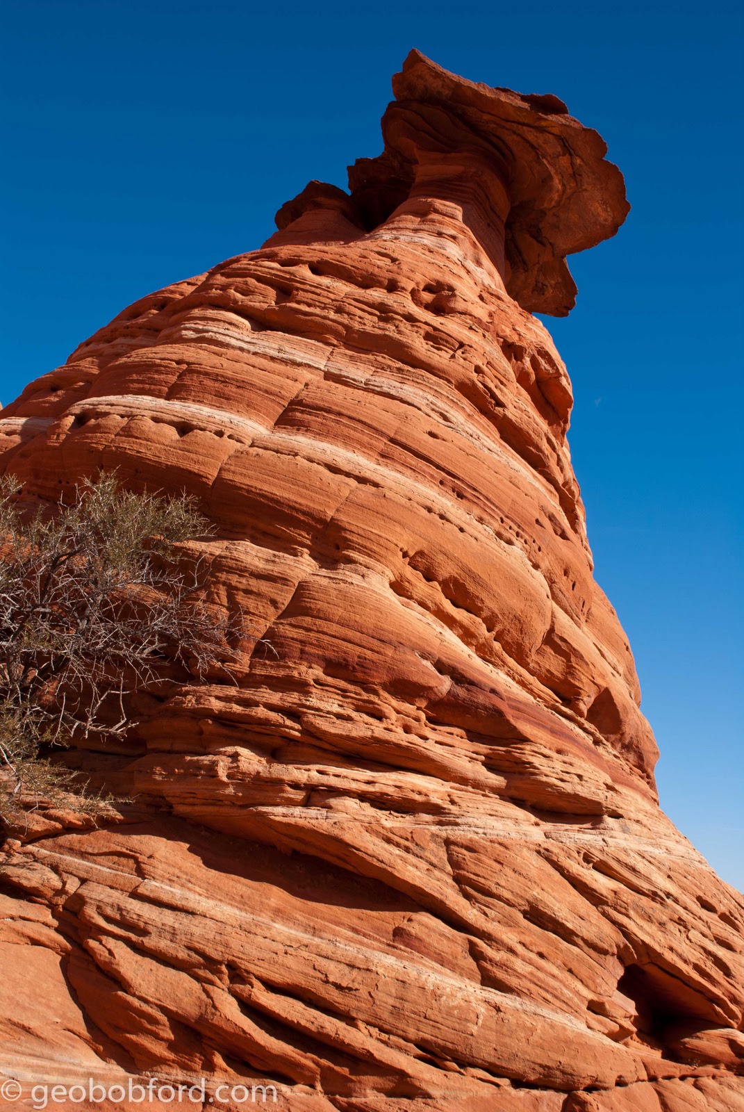 Robert (GeoBob) Ford's BLOG: The Wave, Coyote Buttes, Arizona & Utah USA