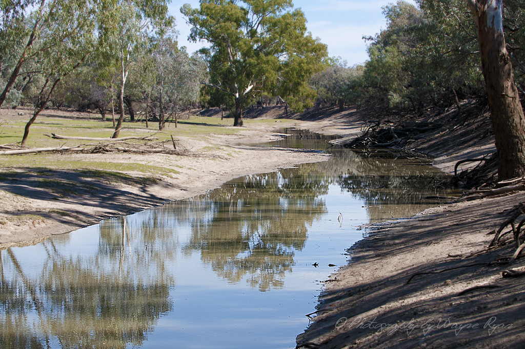 Wayne Ryan's blog: May 2013