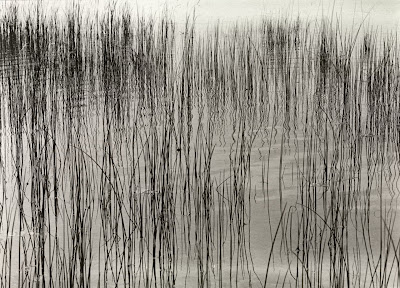 ARS PHOTOGRAPHICA: Harry Callahan - Detroit, 1941