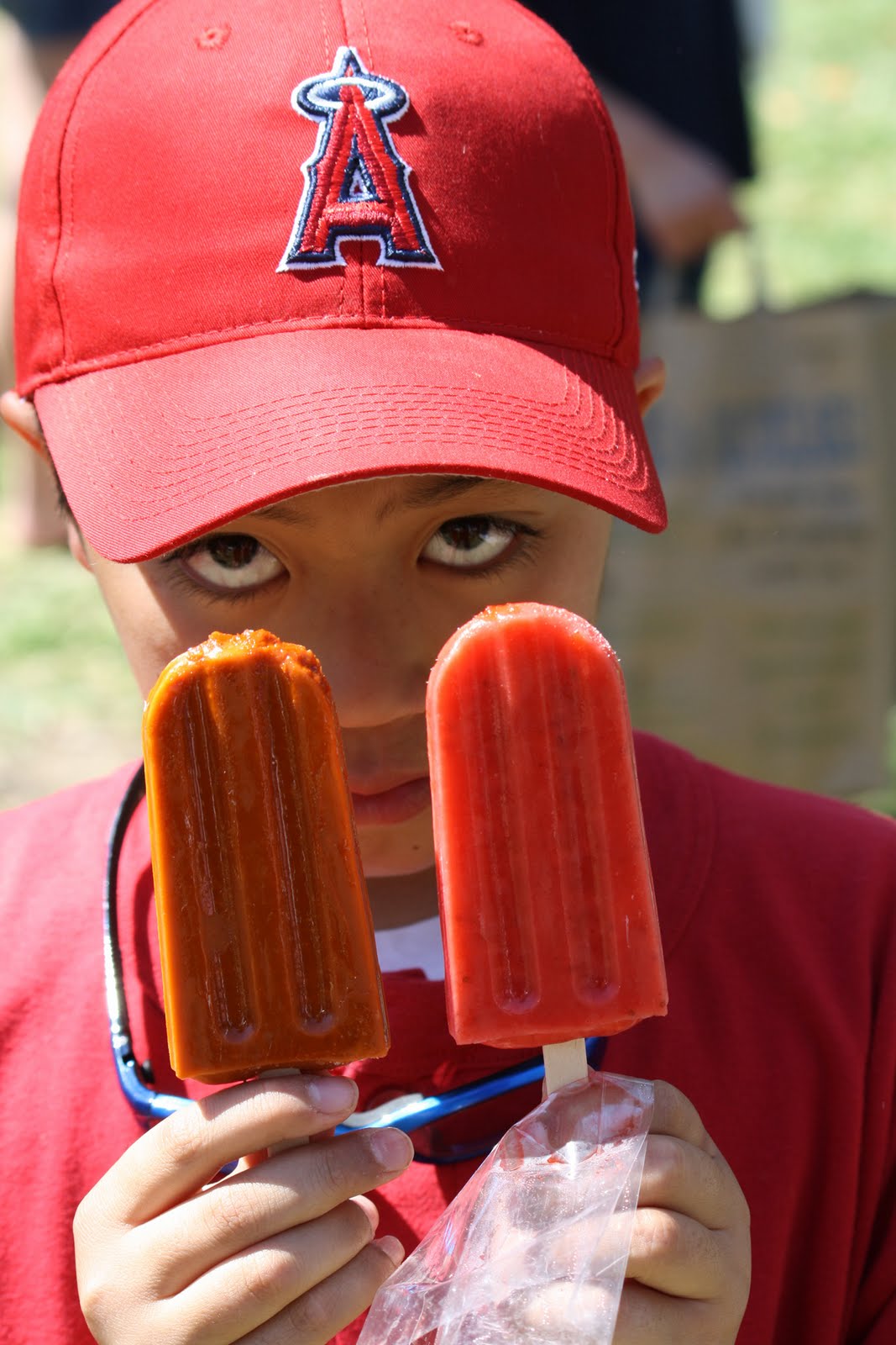 Out of the Kitchen - Food Adventures: Tasty Tuesday :: Fat Face Popsicles