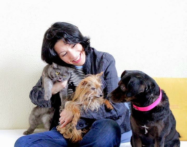 Herculano & Estrelas: Uma estrela da musica chamada Patricia Max