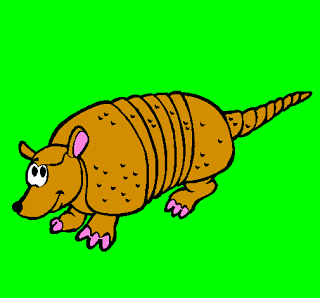 EL ABUELO RUDY TE CUENTA: EL TATU Y SU CAPA DE FIESTA