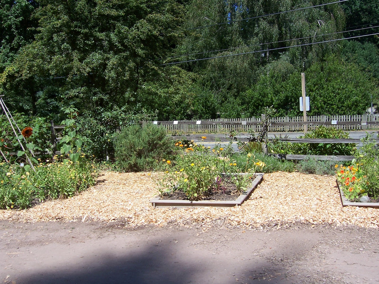 Shoreline Area News: Park Volunteers spruce up Animal Acres