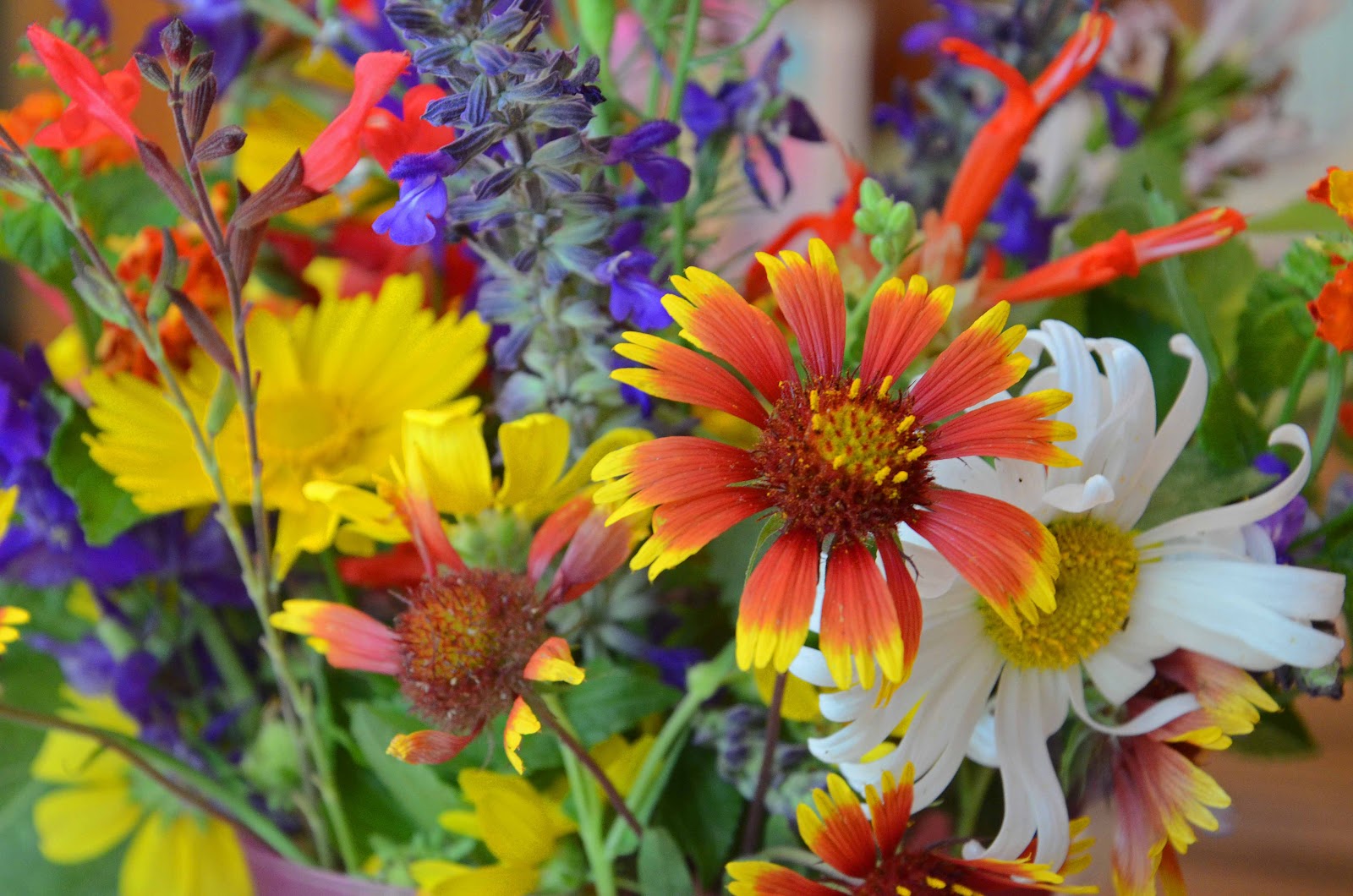 Window on a Texas Wildscape: Mother's Day bouquet