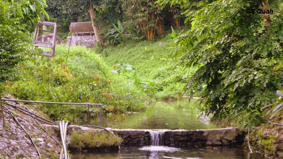 SS Quah's Anything Goes: The beauty of the Nandaka Vihara
