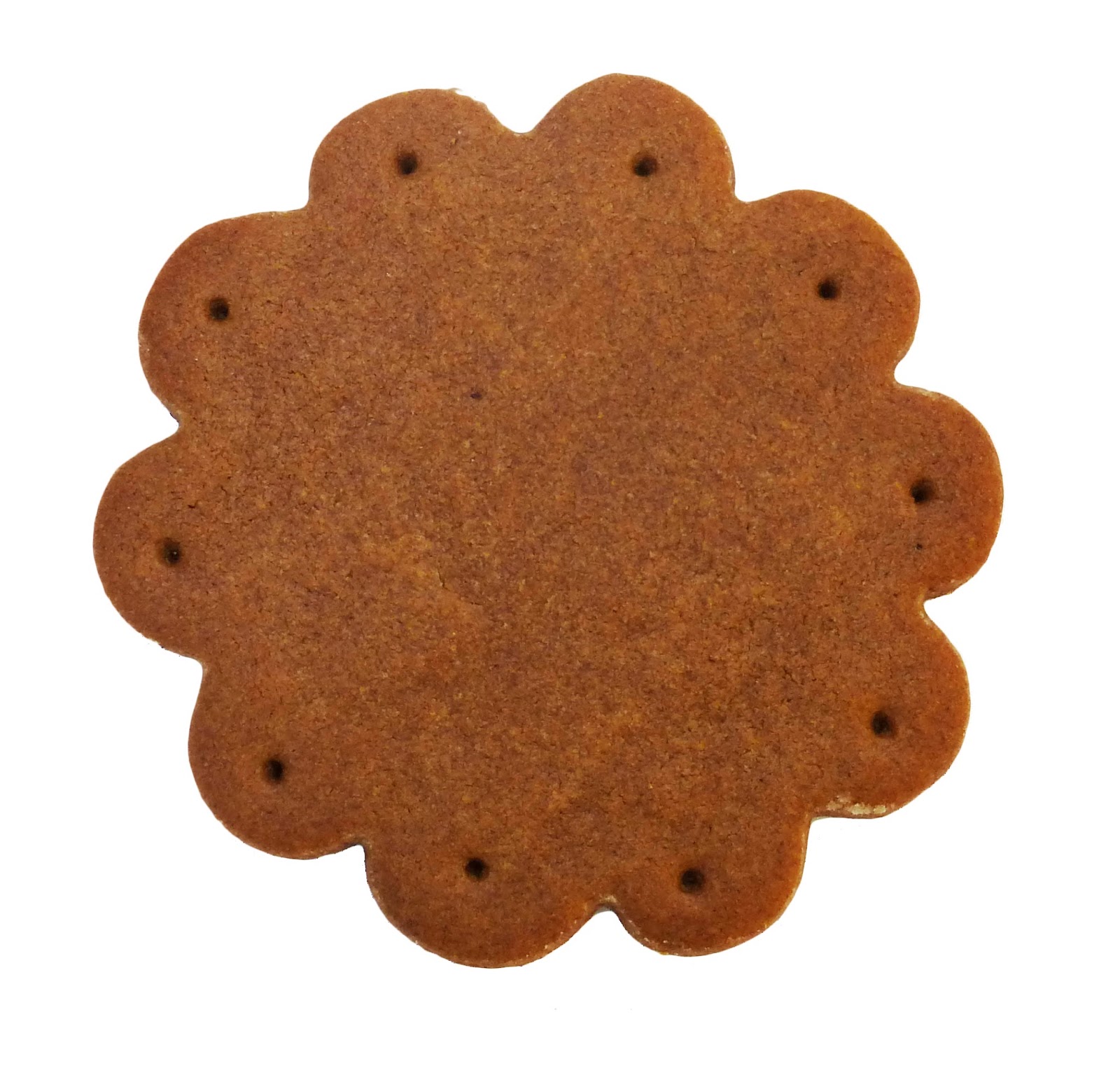 THE GINGER COOKIE: RETURN OF THE POGEN