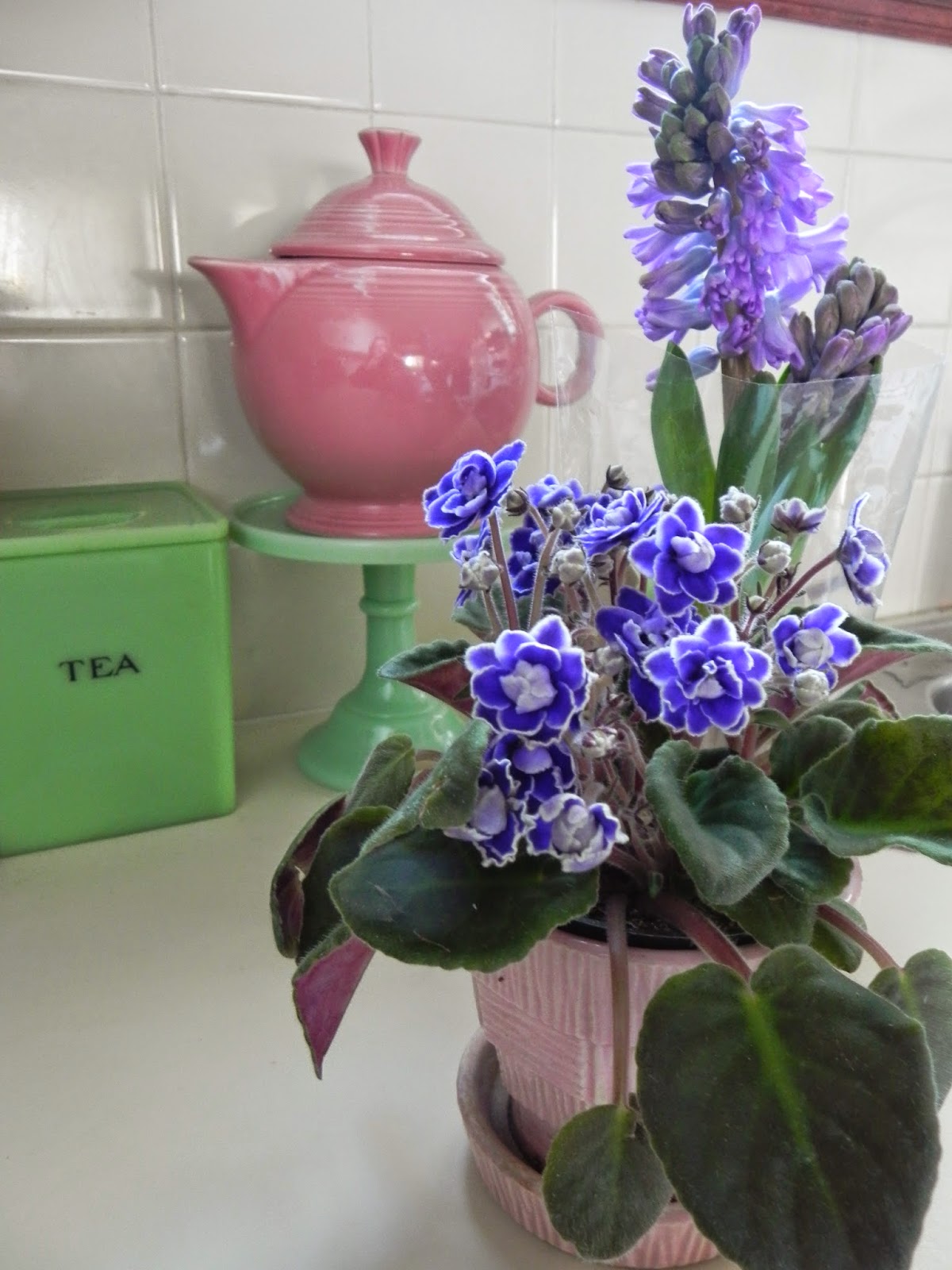 How cute is that?: Highlights of my week