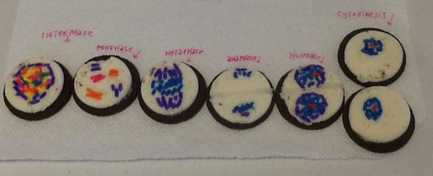 Biology by the Math Mom: 2016