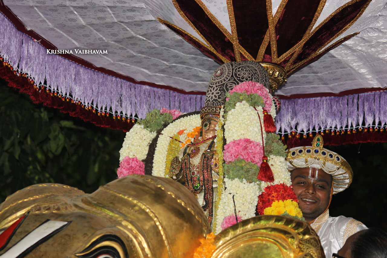 Krishna Vaibhavam: 06 Yaanai Vahanam YEsal Purappadu - Thiruvallikeni ...