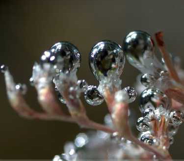 A WORLD INSIDE BRILLIANT COLORFUL RAINDROPS - My Xiting World