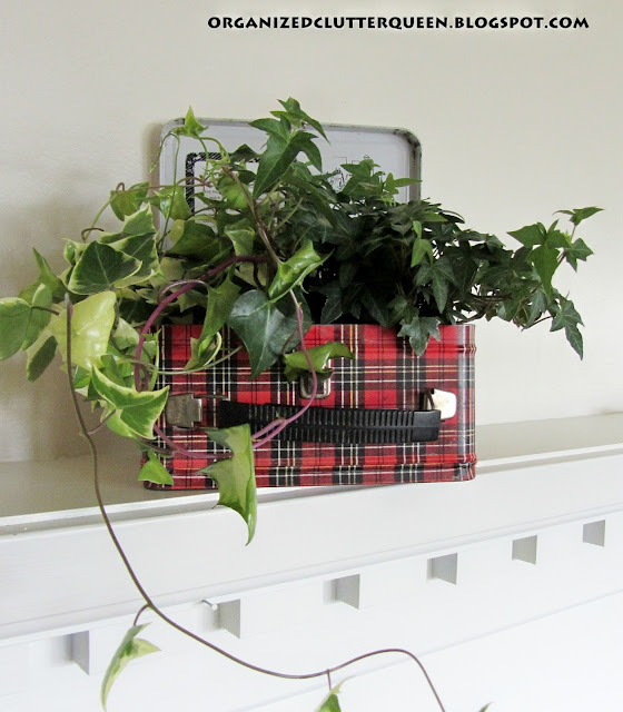 Houseplants Make a Home - Organized Clutter