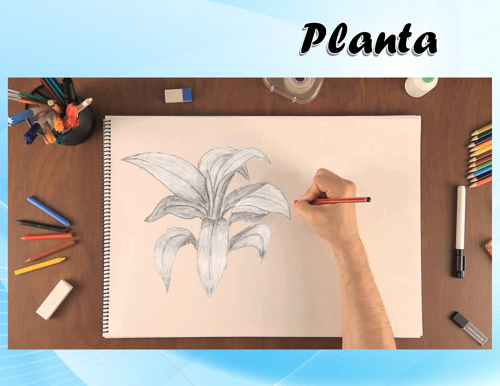IDEAS Y DISEÑOS: Practica Dibujo al Natural