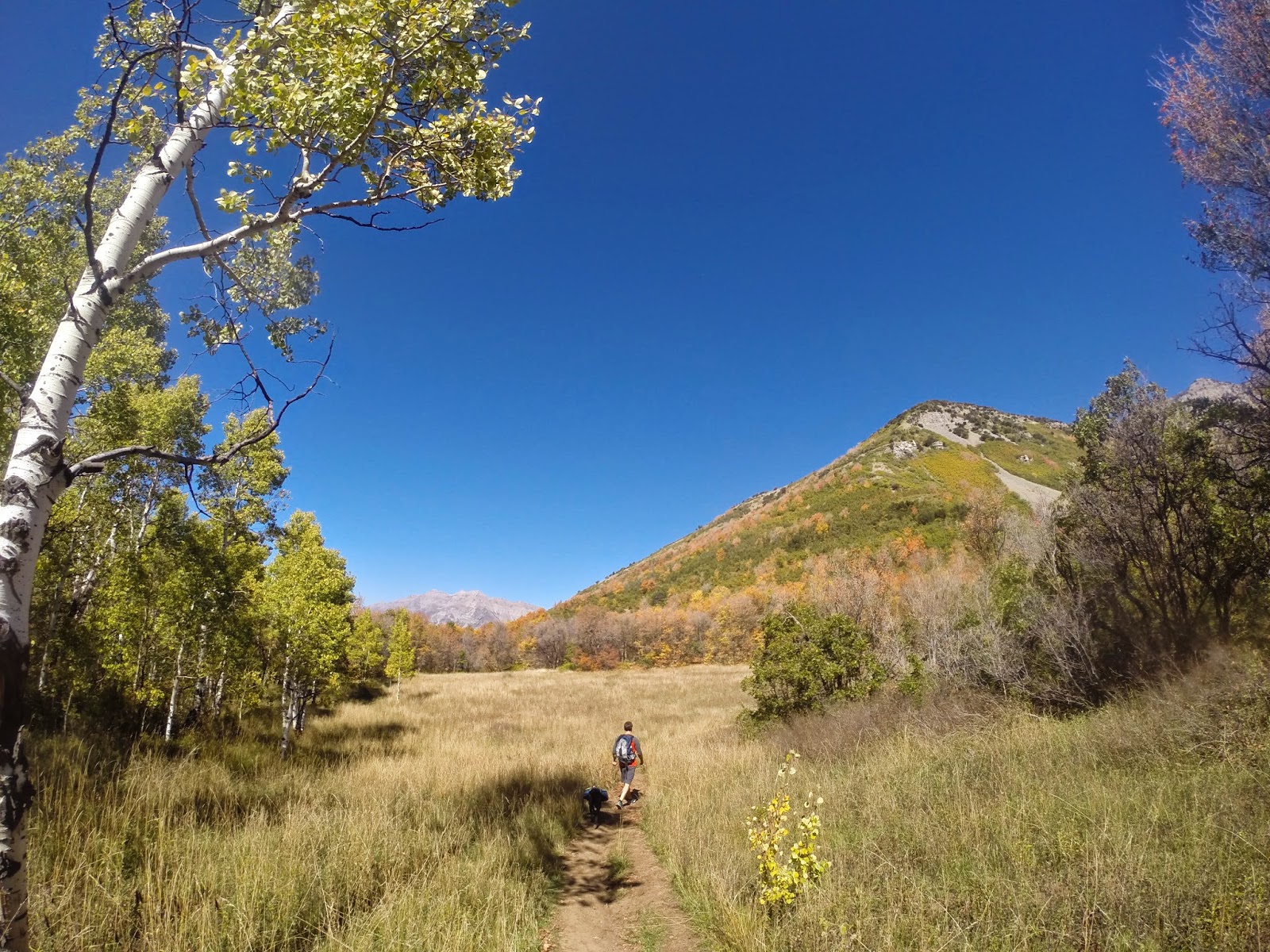 Katie Wanders : Video: Squaw peak Hike, Provo, Utah