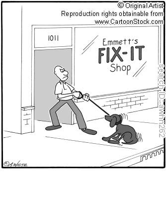 Huxtable The Poodle | Toy Poodle Blog | Parti Poodle: When to Get a Toy ...