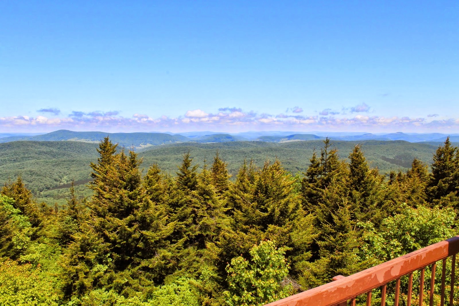 Dave's Hiking Journal: July 2014