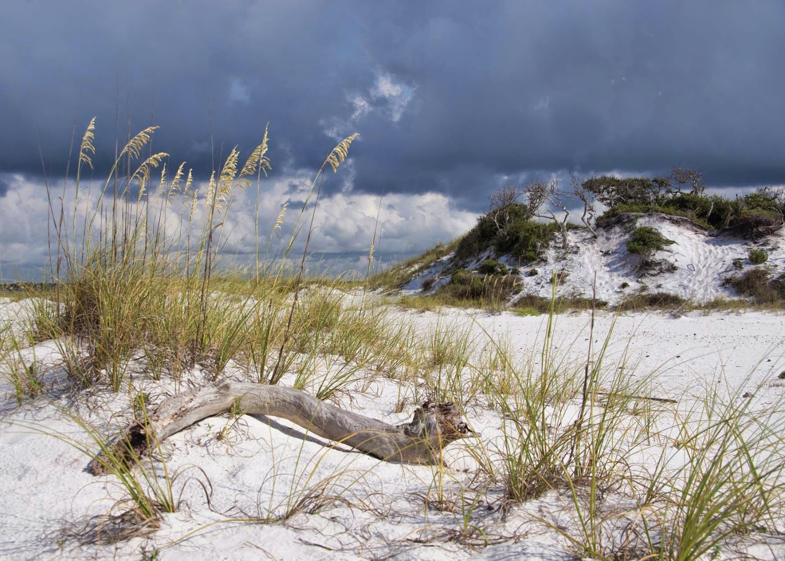 Geology 1403 - Physical Geology: Siliciclastic Sedimentary Rocks