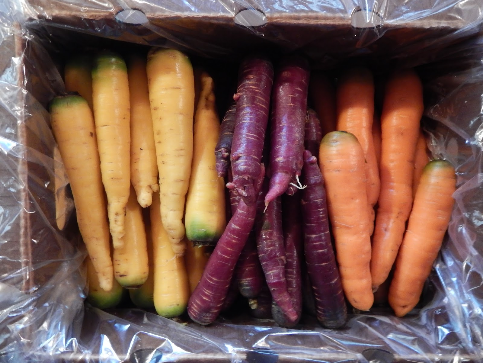 Harmony Valley Farm: November 16, 2017 - This Week's Box Contents ...