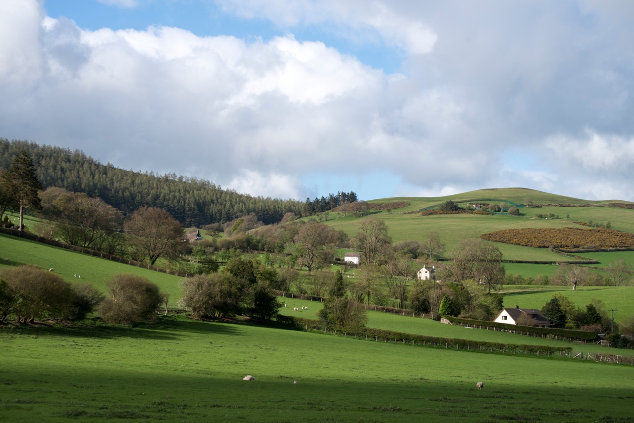 from little acorns.........: A weather boarded cottage in the Welsh hills