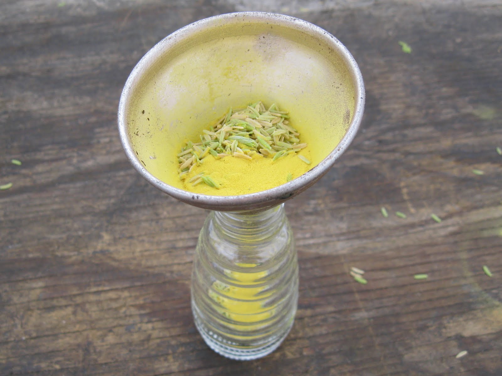 Plant Daddy: Corn Pollen.............