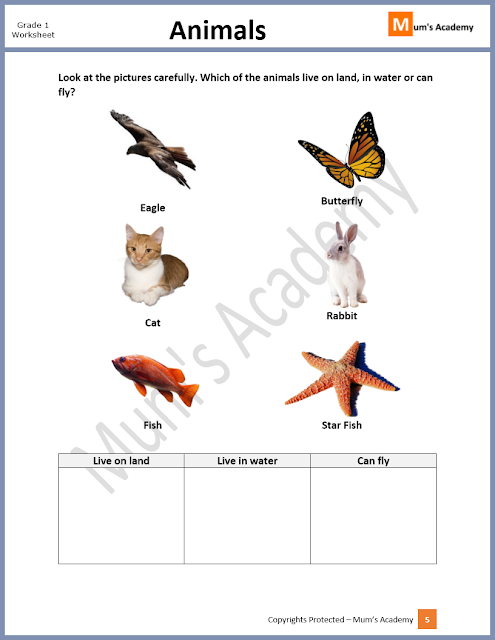 Grade 1 - Worksheet - Animals - Mum's Academy