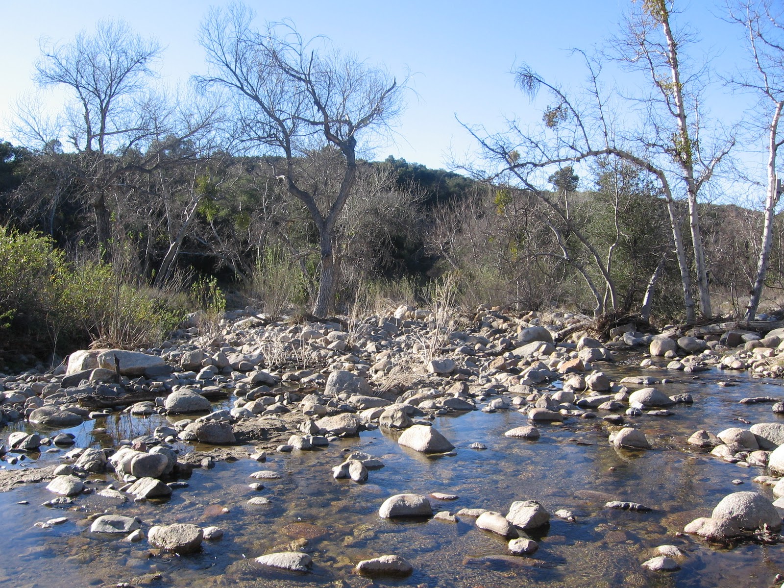 Temecula Hiking Educators.....: Dripping Springs- Feb. 2011