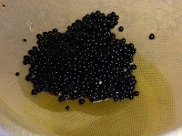 Mrs C's Recipe Corner: Balsamic Vinegar Pearls