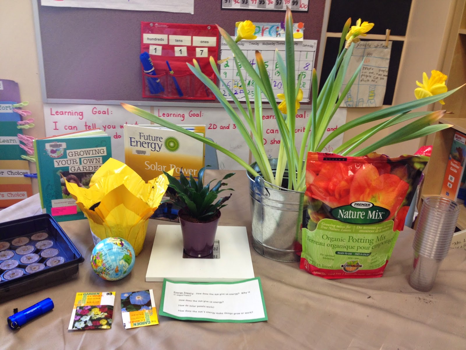 Wonder, Explore & Discover in Grade One: PROVOCATIONS ARE POWERFUL!