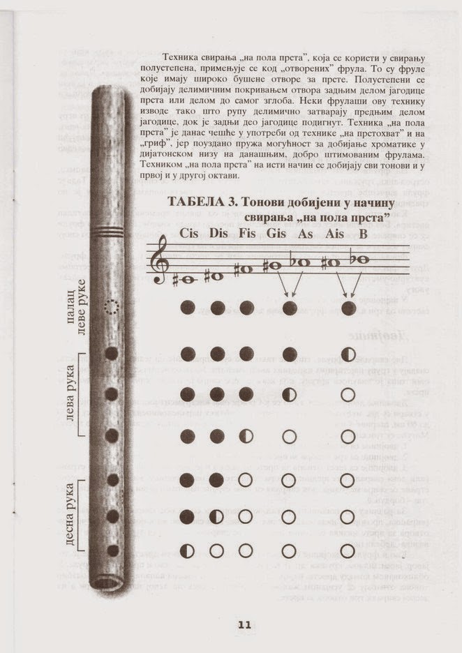 ~ FRULA | LEKCIJE ~: PRSTORED FRULA