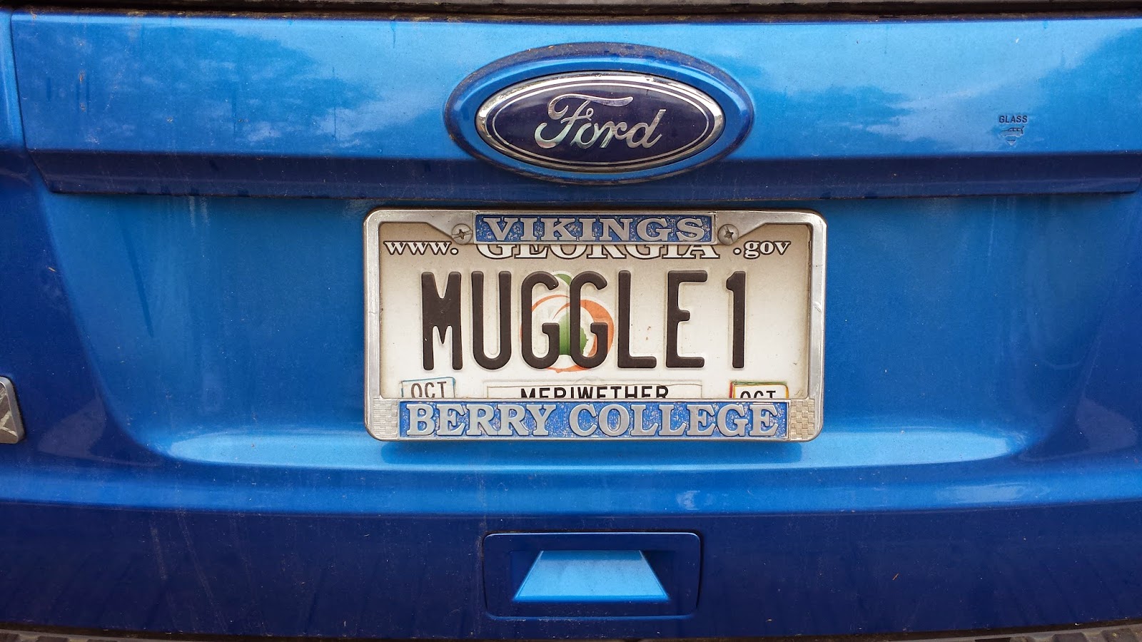 The Wandering Bunny: Calling All Book Geeks - Harry Potter License Plate
