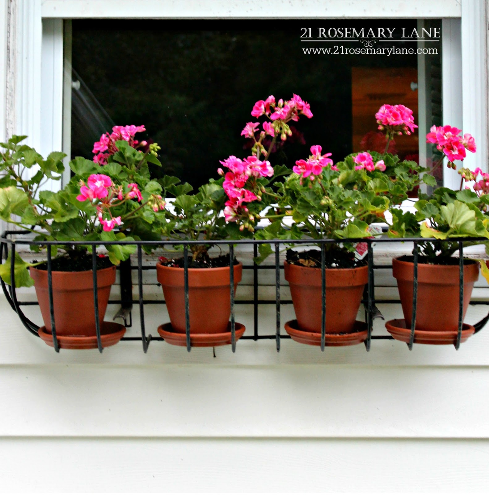 21 Rosemary Lane: Using Clay Pots in Wire Planters as an Inexpensive ...